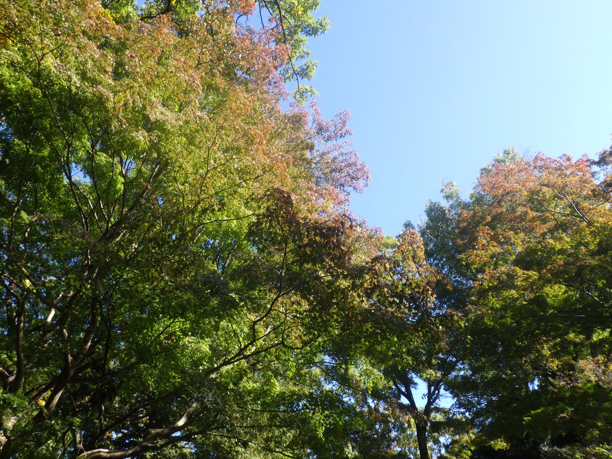 Fragment兎影館｜白座(@Fantas_magorie) - Twilog (ツイログ)