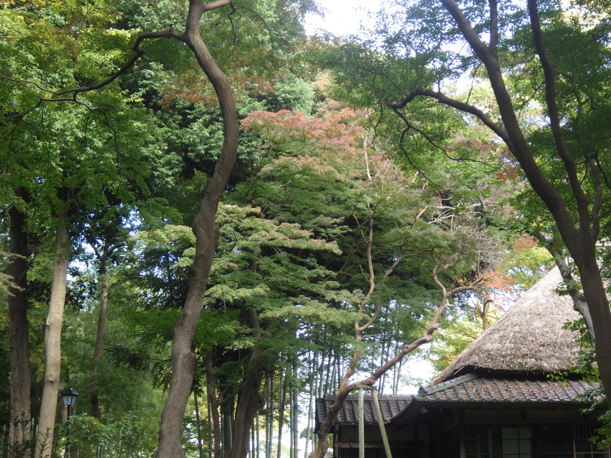 Fragment兎影館｜白座(@Fantas_magorie) - Twilog (ツイログ)