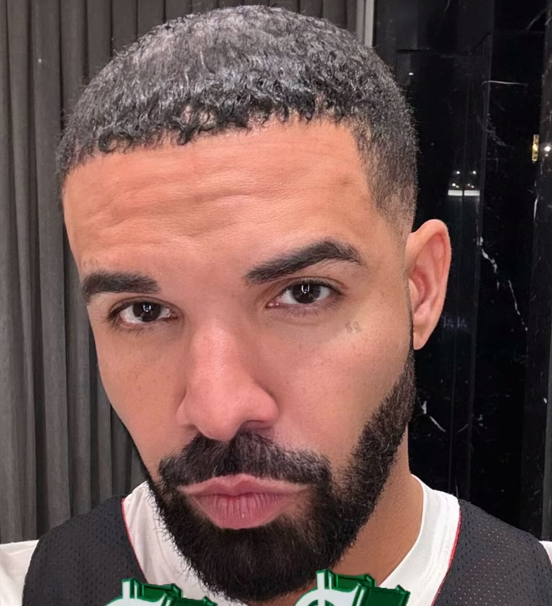 Drake Fade 2024