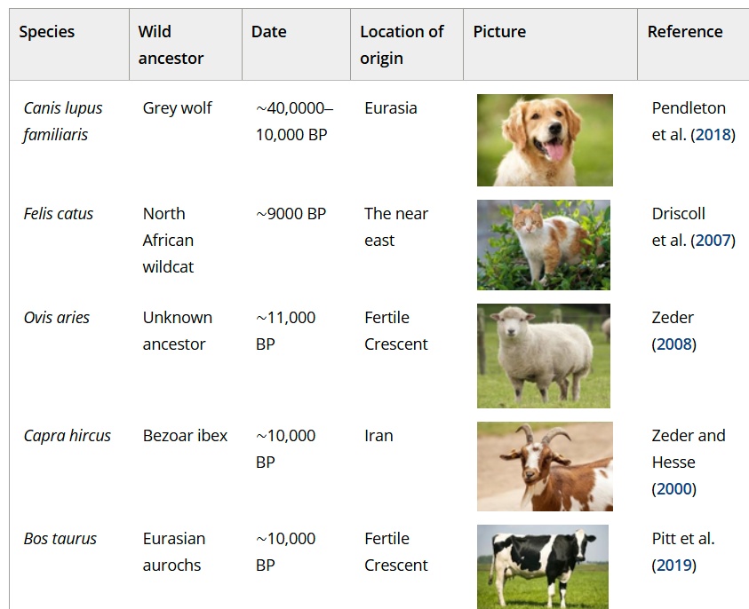 Domesticated Animals List