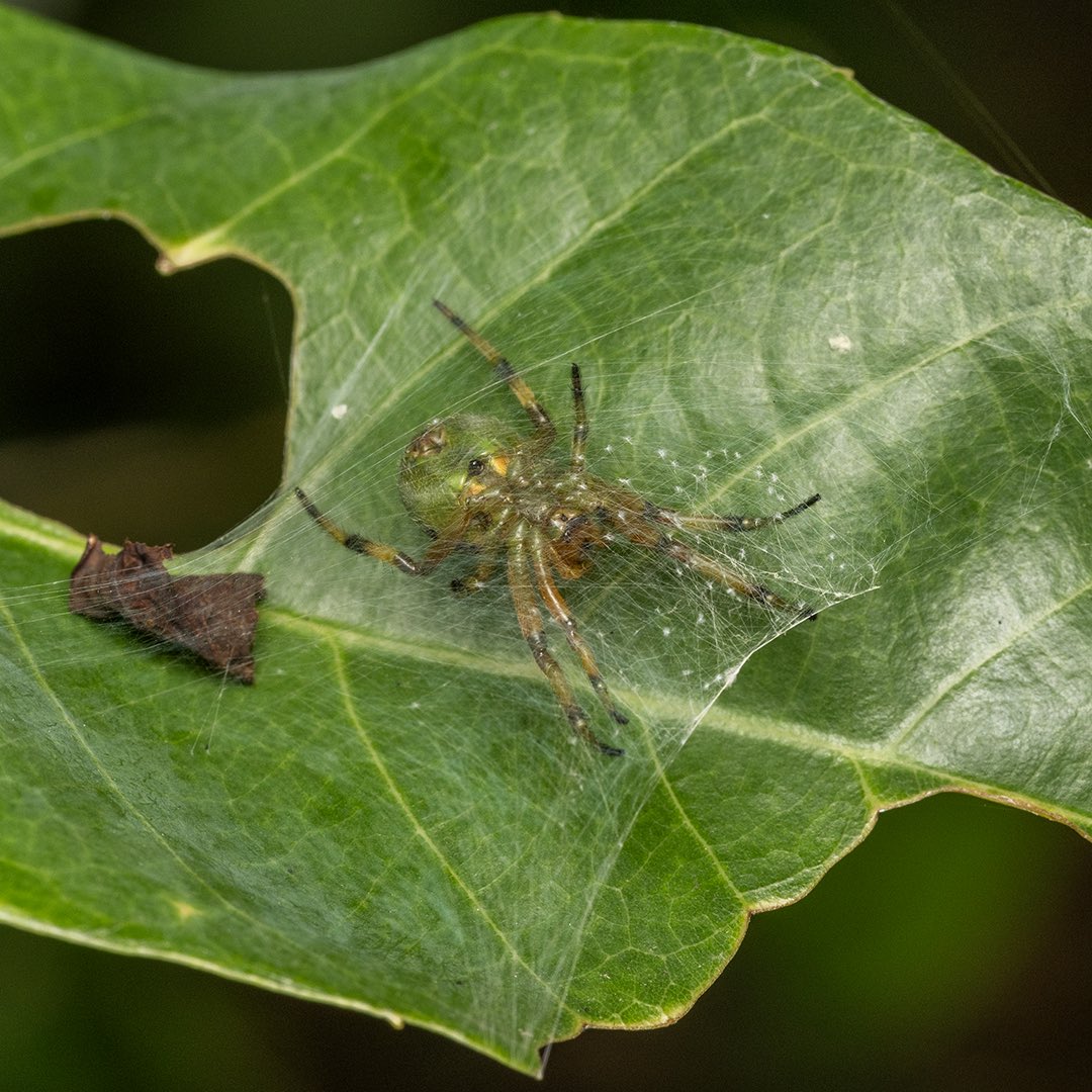 PAW(@paw2061) - Twilog (ツイログ)