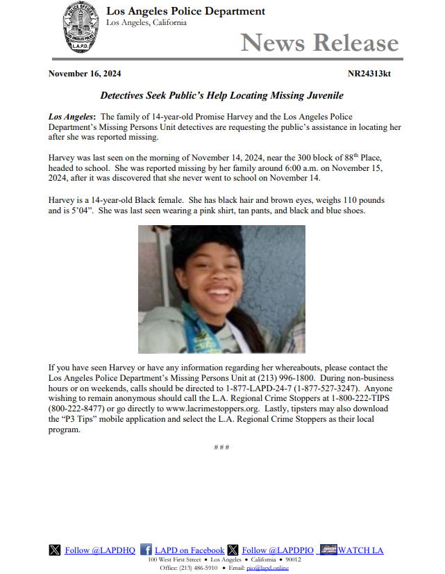 Los Detectives De Facebook