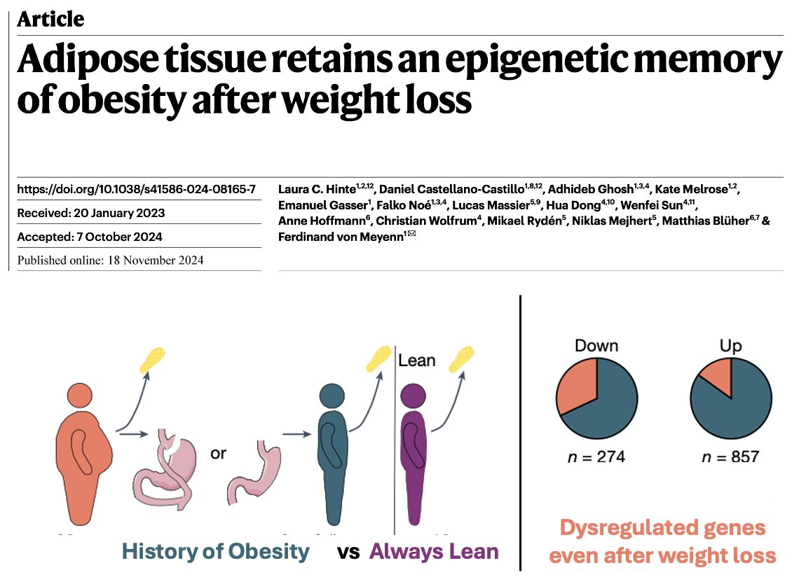 1/4) New Research (Yesterday) in @Nature on the Memory of Your Fat ...