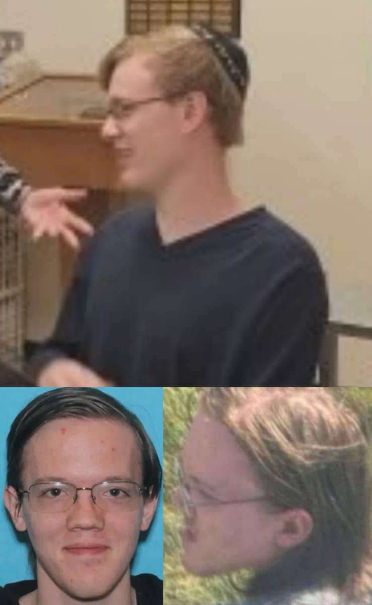 Okay so the weird fedposty wignat account @theofficial1984 account got ...