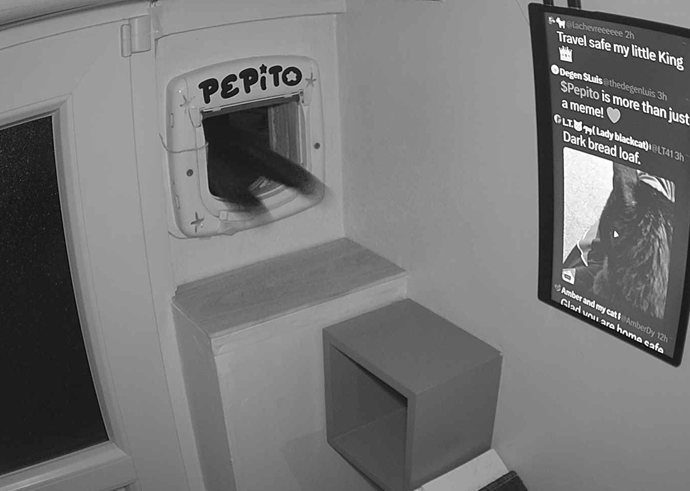 Pepitos Memes 34 Best Chistes De Pepito Ideas | Spanish Jokes, Spanish