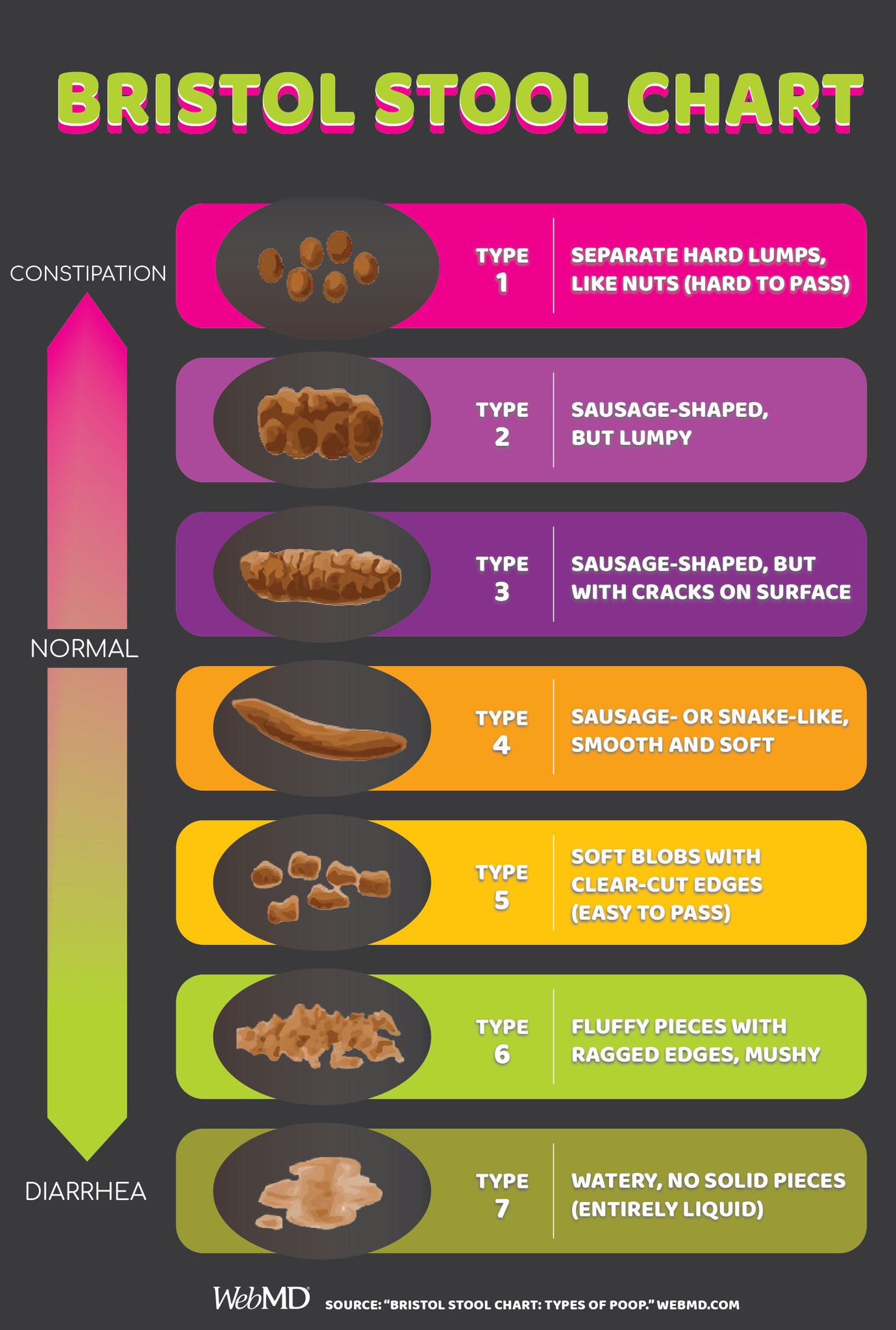 Bristol Stool Chart Poster Bristol Stool Chart Images – Browse 99