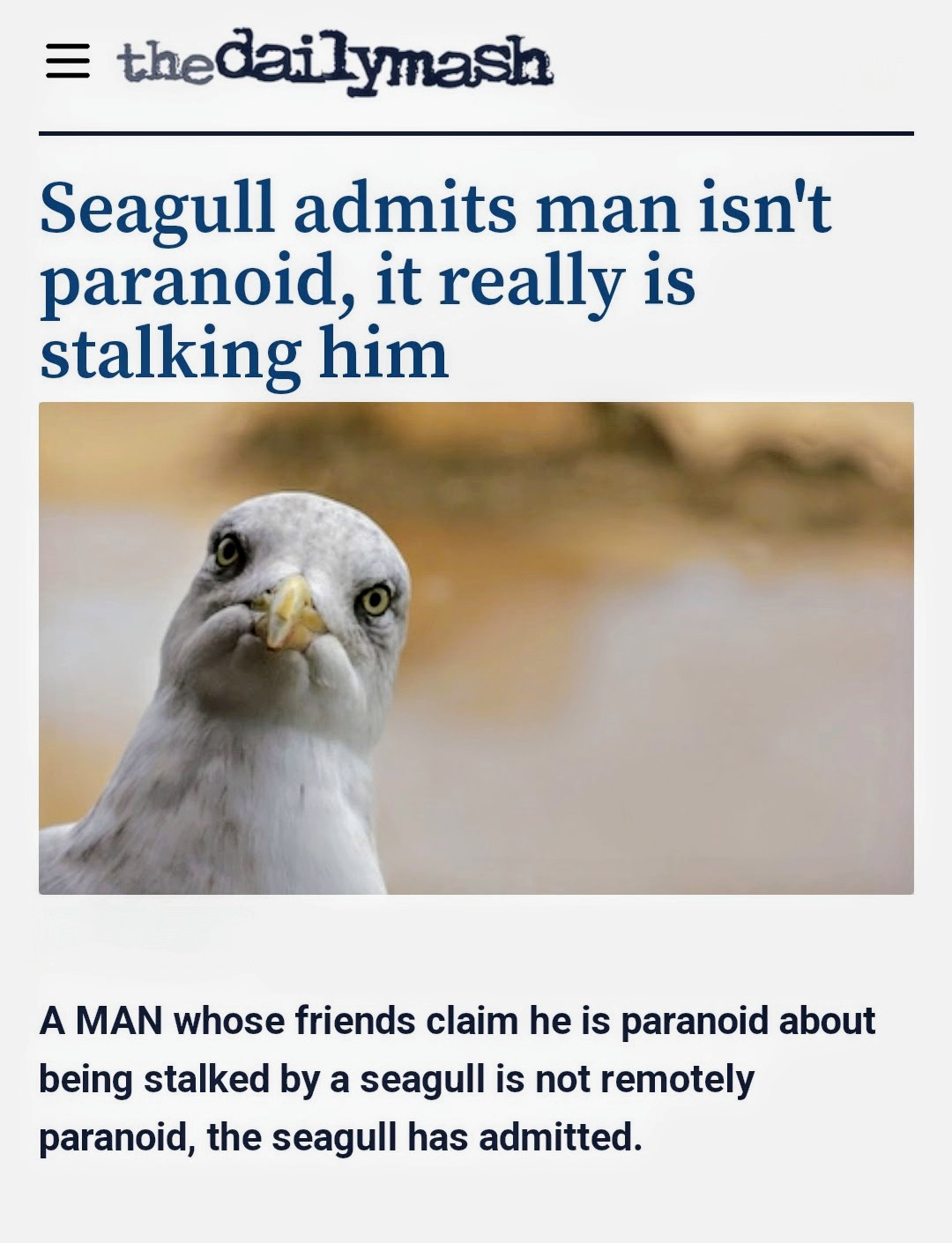 Paranoid Funny Quotes 101 Inspiring Mental Health Quotes Mental