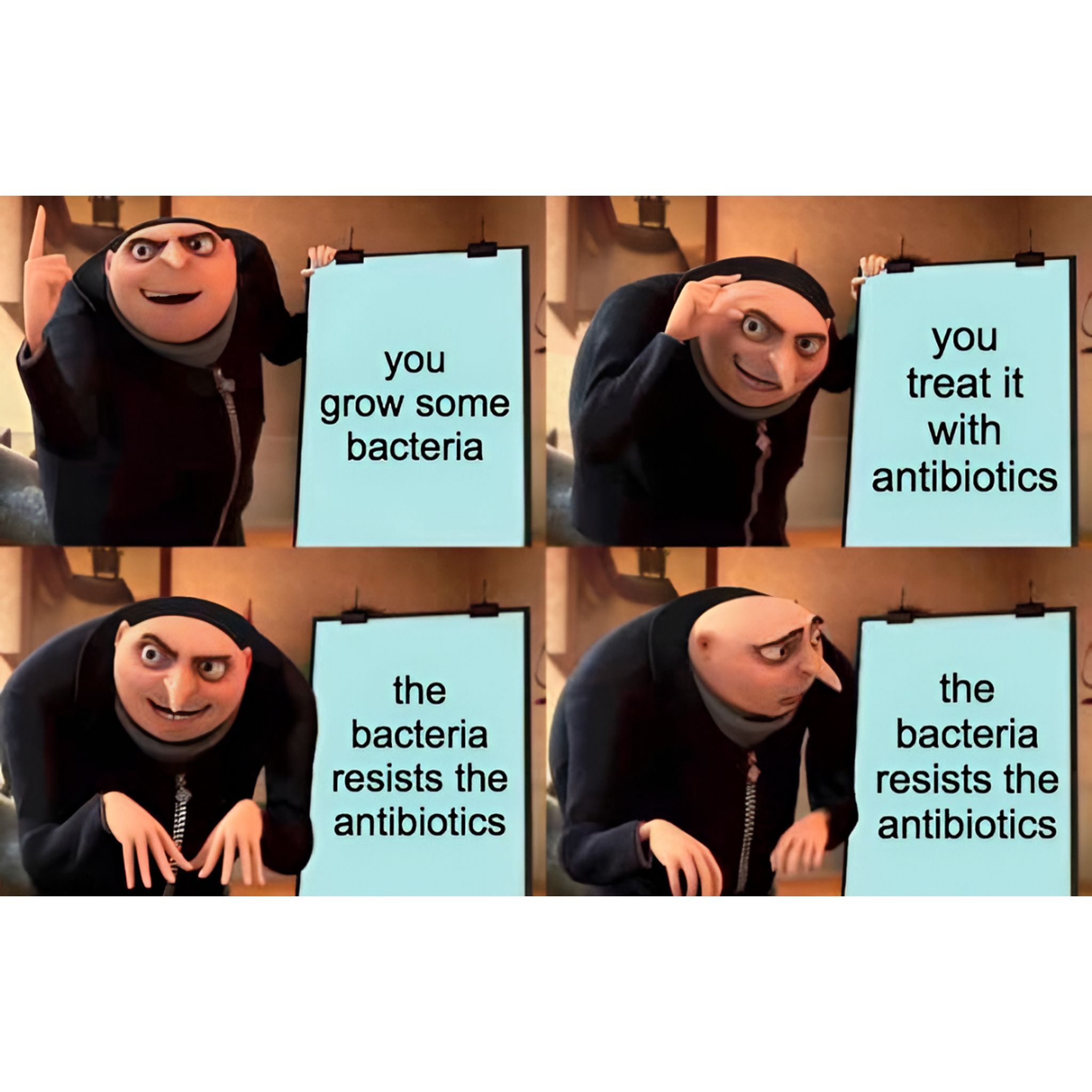 Probiotic Antibiotic Memes