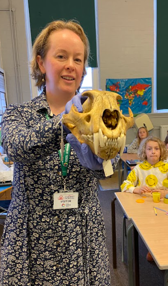 Home - Scarcroft Primary School