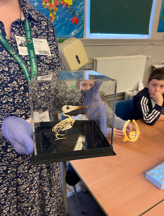 Home - Scarcroft Primary School