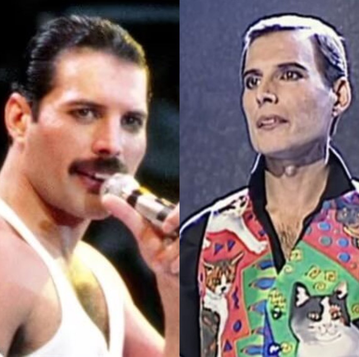 Freddie Mercury Etter Aids
