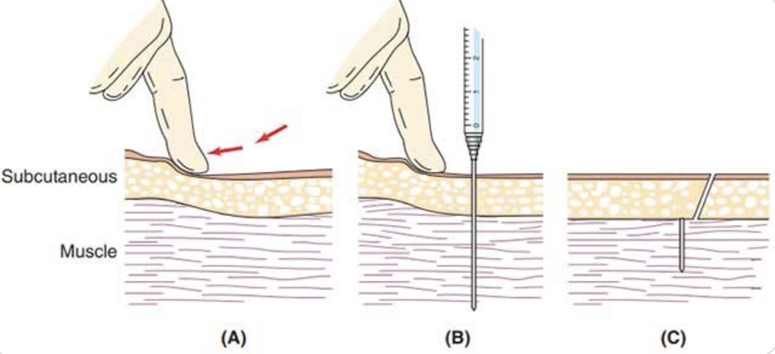 34-yo man with no PMH presents with purpura on the left buttock ...