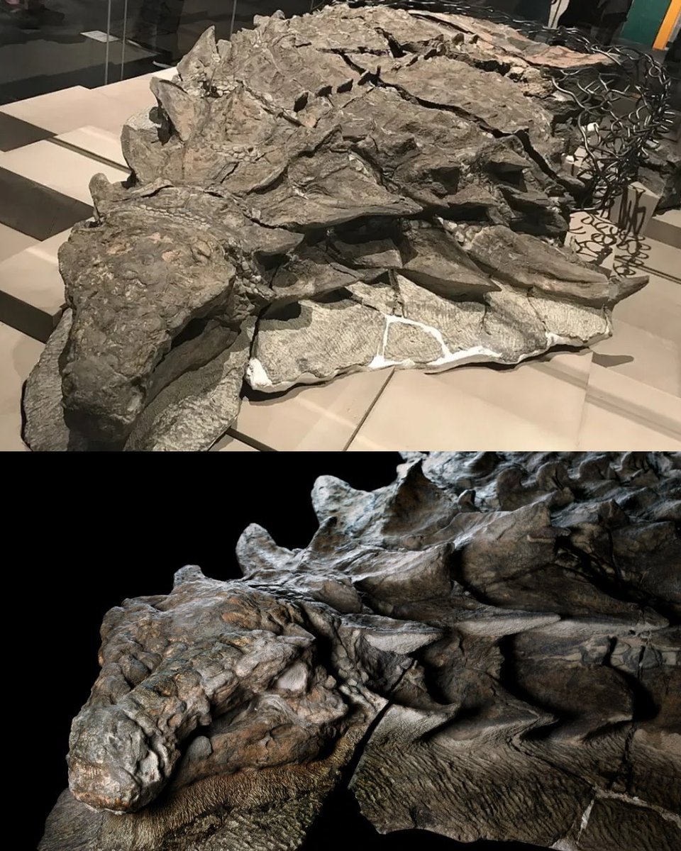 Thread of historical archeological discoveries 🧵 1. 2700 year old ...