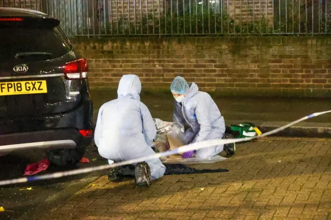 An eight-year-old girl and a 34-year-old man have been seriously ...