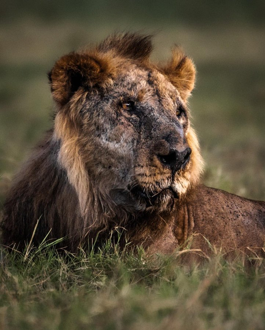 Thread by @aftahi_ai on Thread Reader App – Thread Reader App