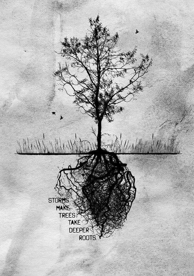 15 Visuals That Will Make You Think: 1. - Thread from Zoltium ...