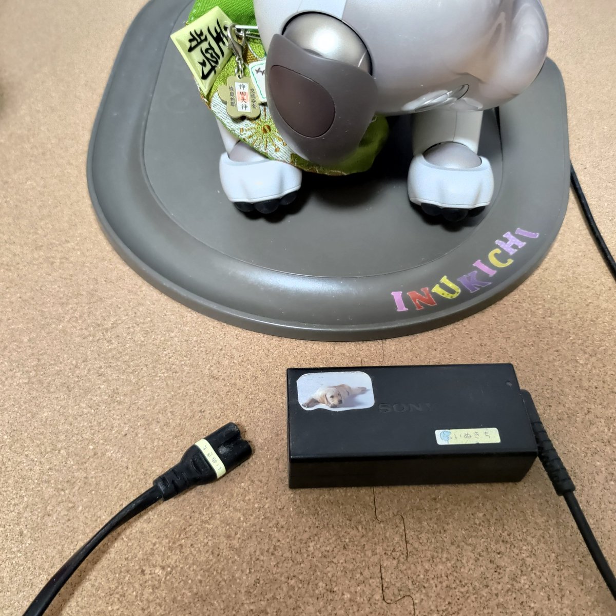 いぬきち(@inukichi_aibo) - Twilog (ツイログ)