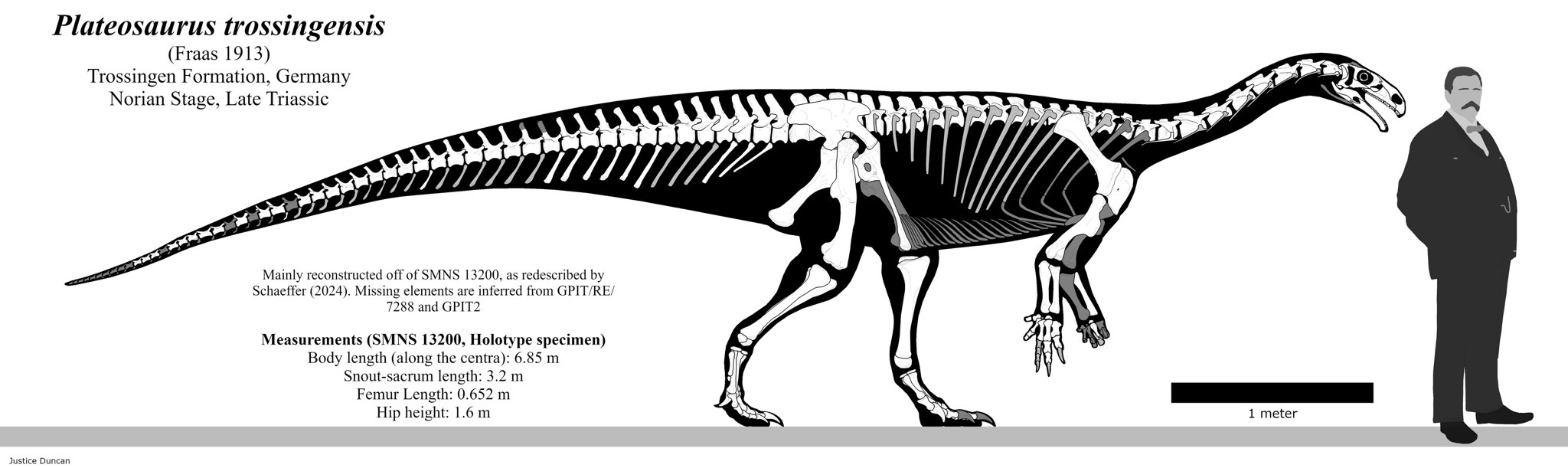 Plateosaurus Iontaise Plateosaurus By Alain Beneteau | Dinosaurs