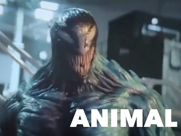 All Symbiotes Names In Venom The Last Dance