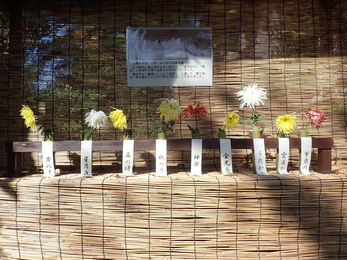 Fragment兎影館｜白座(@Fantas_magorie) - Twilog (ツイログ)