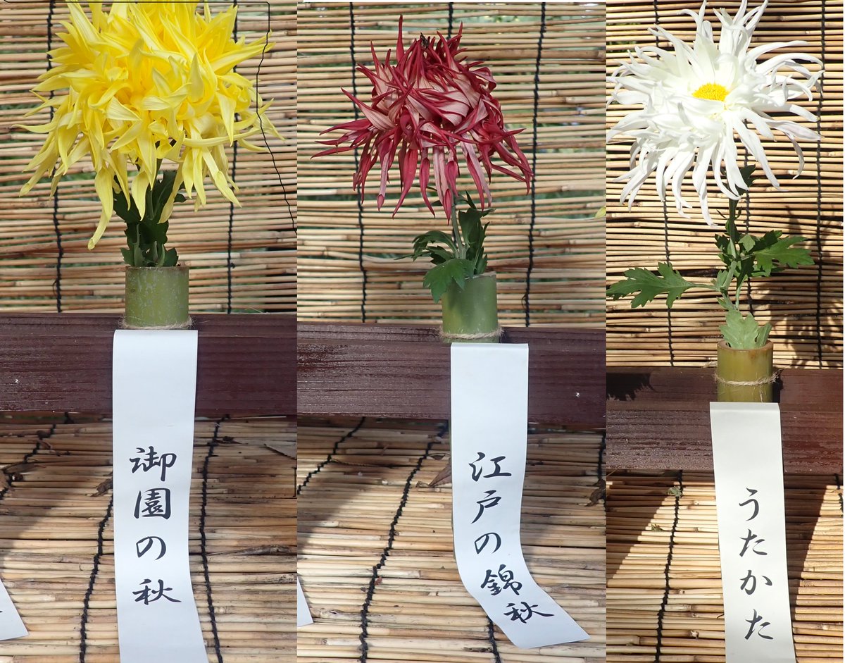 Fragment兎影館｜白座(@Fantas_magorie) - Twilog (ツイログ)