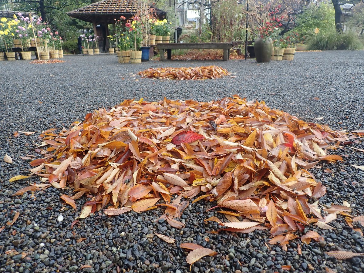 Fragment兎影館｜白座(@Fantas_magorie) - Twilog (ツイログ)