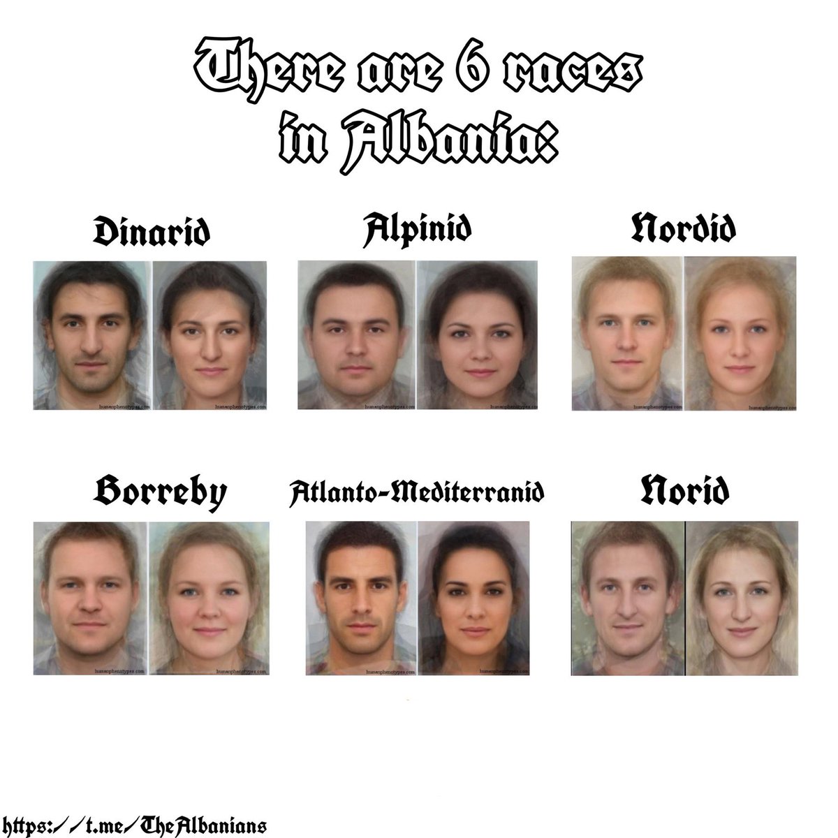 Albanian People Race