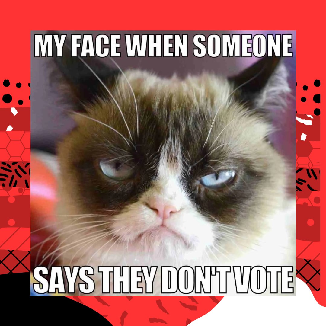 Grumpy Cat Sayings Elections Grumpy Cat Returns To SXSW: Get To The