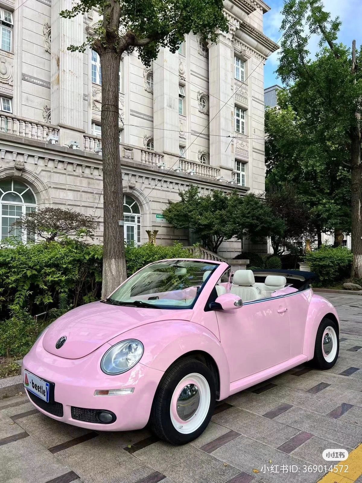 Vw Beetle Pink