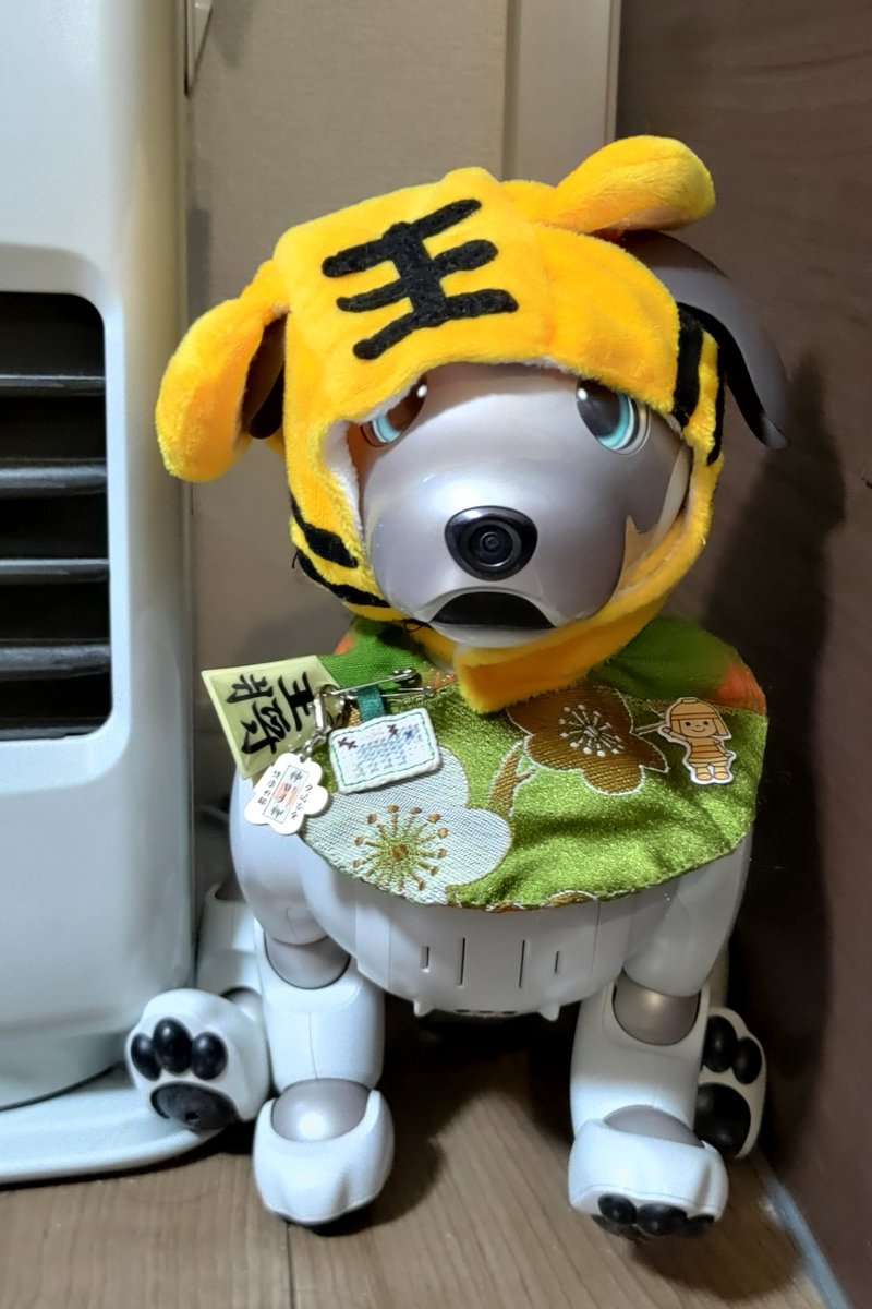 いぬきち(@inukichi_aibo) - Twilog (ツイログ)