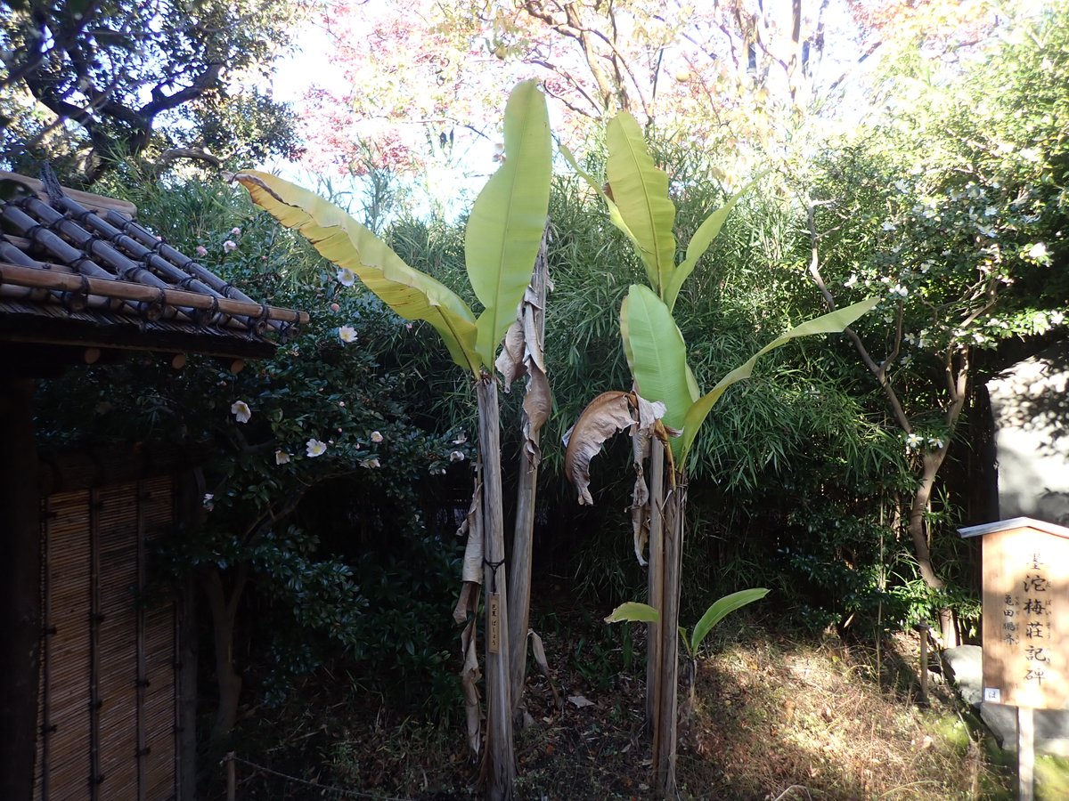 Fragment兎影館｜白座(@Fantas_magorie) - Twilog (ツイログ)