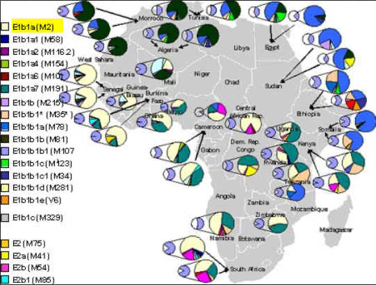Now for the shocking part - the Bantu peoples did not form until after ...