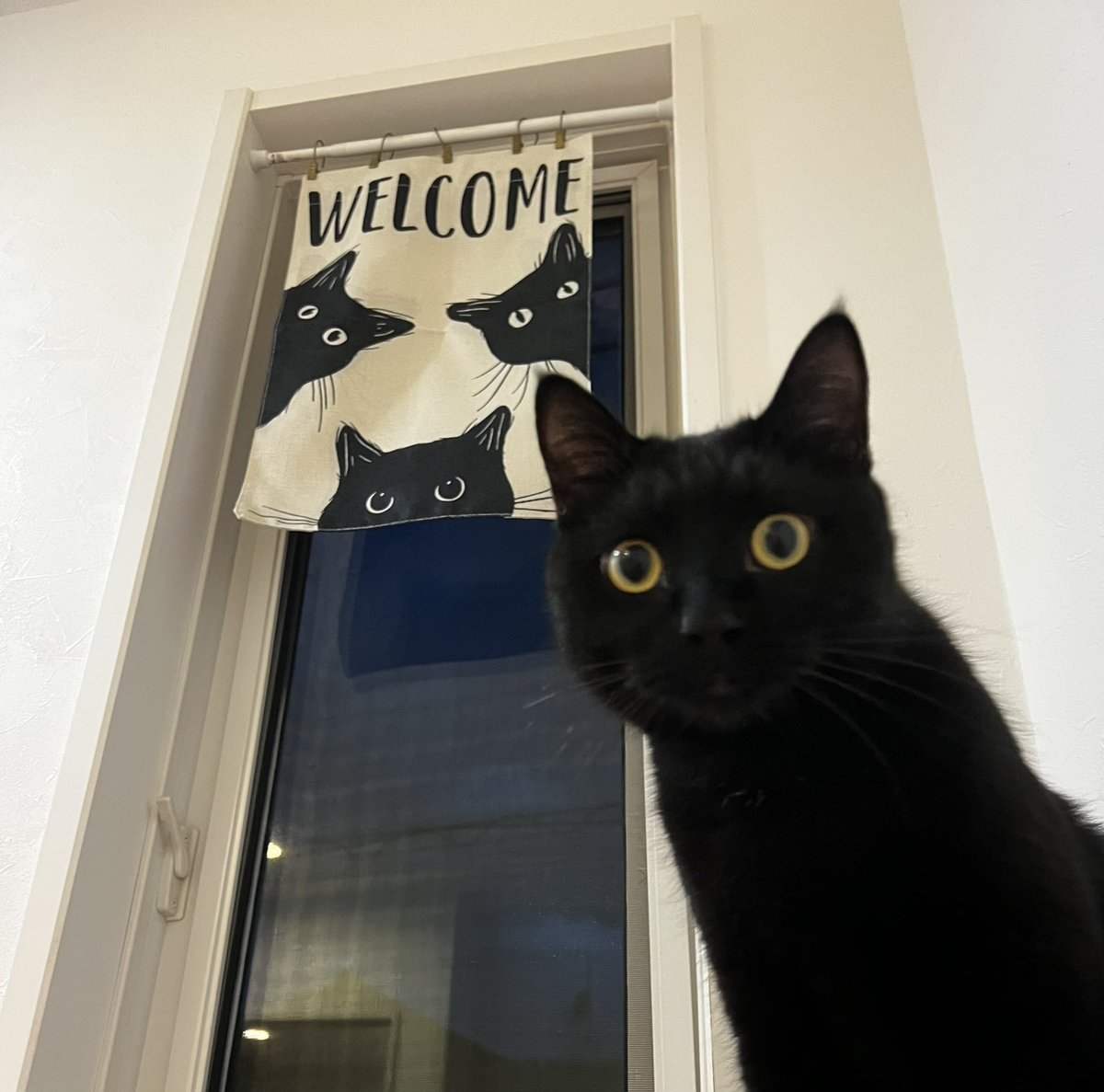 たけ(@take_it02) - Twilog (ツイログ)