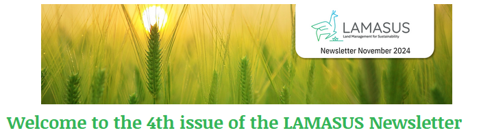 Lamasus Porträt Eines Assyrischen Lamassu Louvre Museums