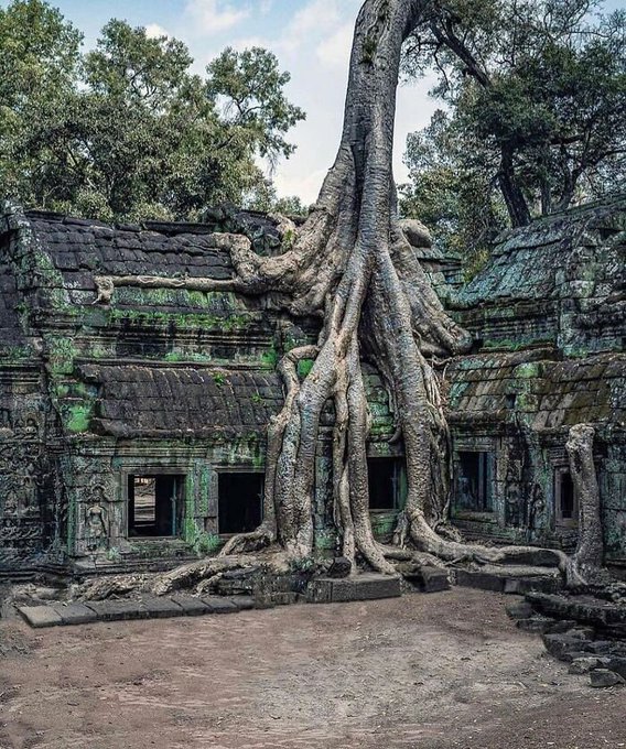 Thread by @David_eficaz on Thread Reader App – Thread Reader App