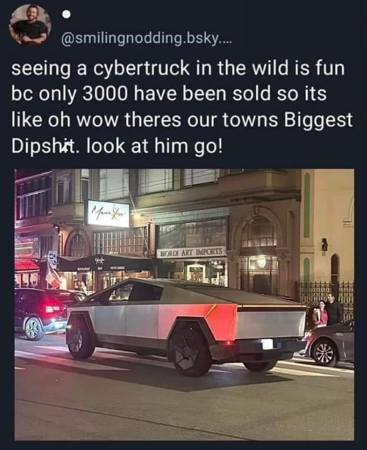 Tesla Cybertrucks are now being attacked by,... raccoons who mistake ...