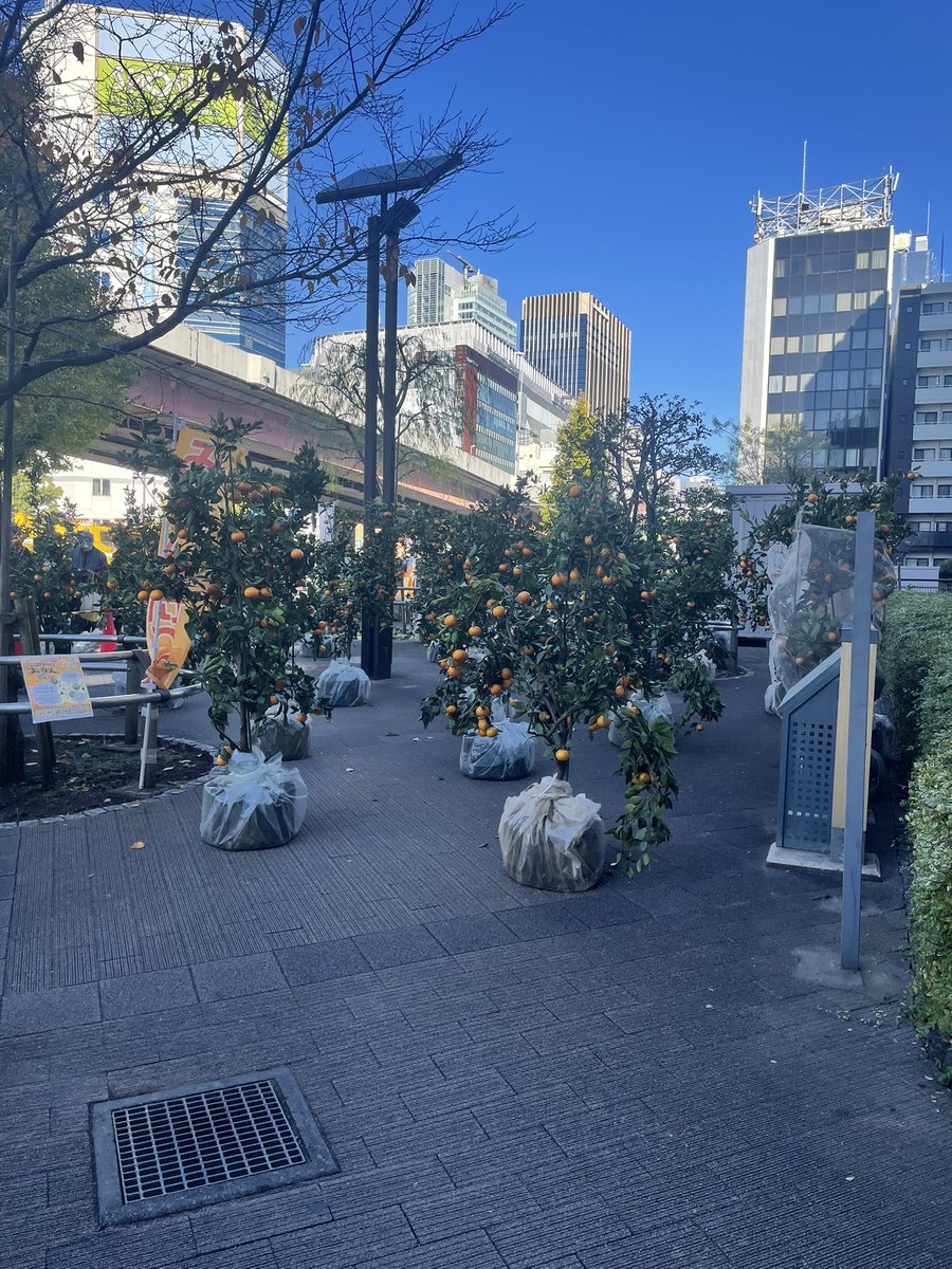 べるまーく(@bell_mark_) - Twilog (ツイログ)