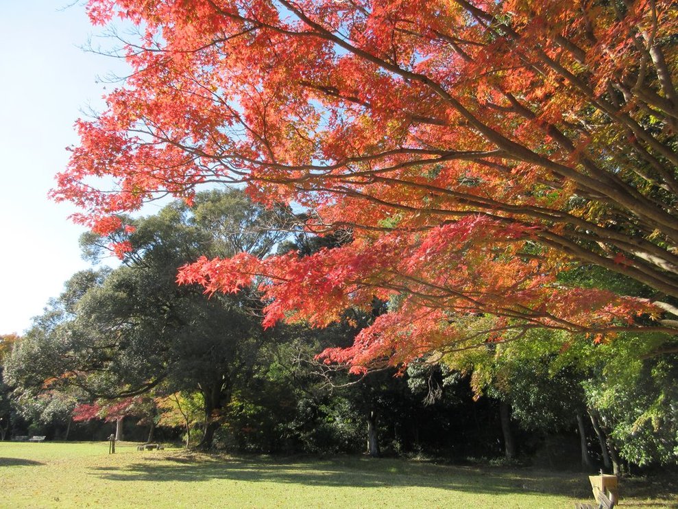 スーさん(@su_03) - Twilog (ツイログ)