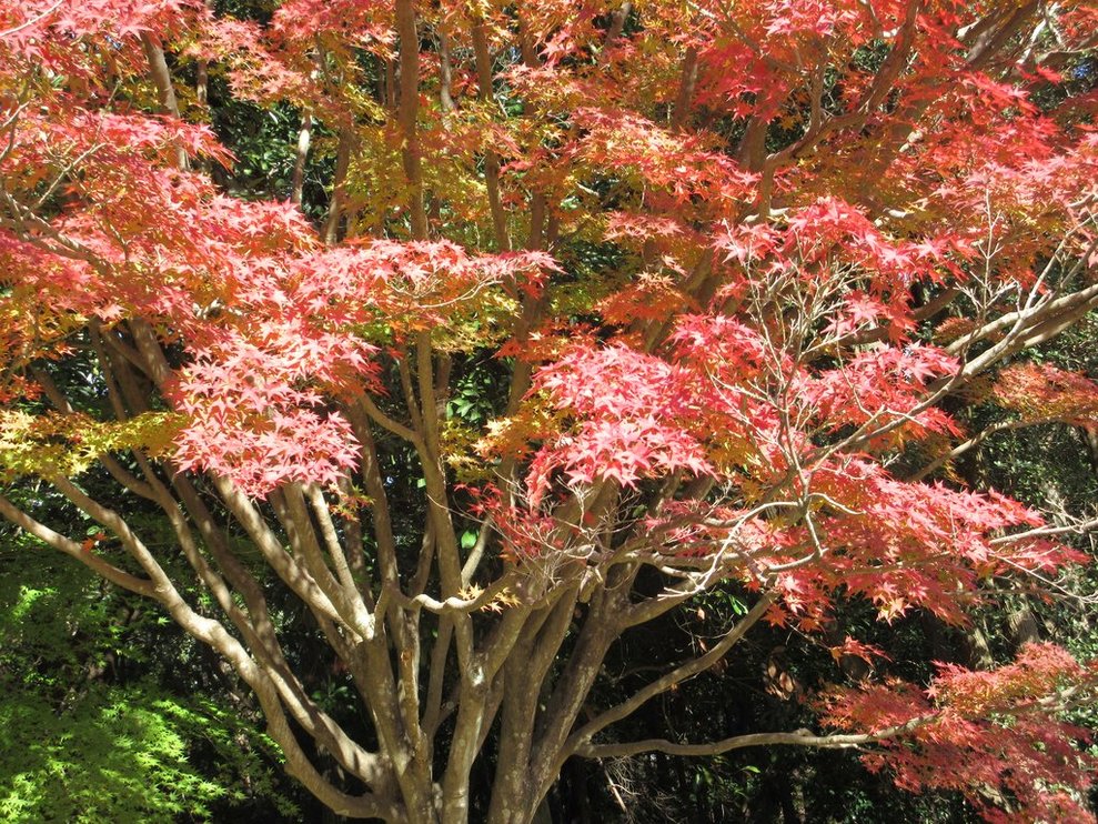 スーさん(@su_03) - Twilog (ツイログ)