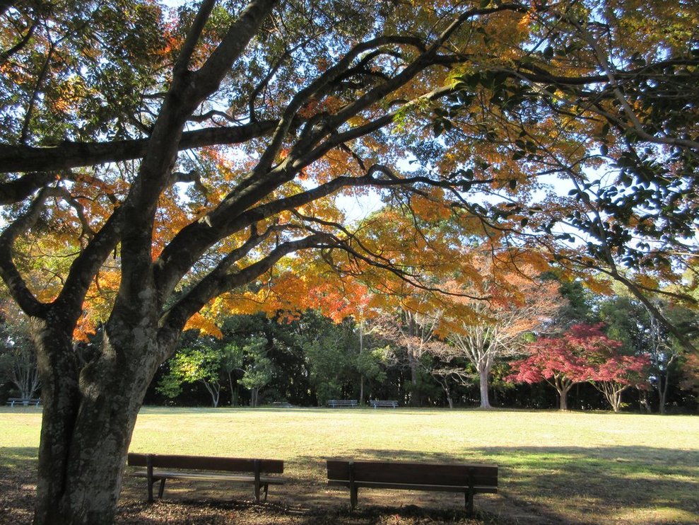 スーさん(@su_03) - Twilog (ツイログ)