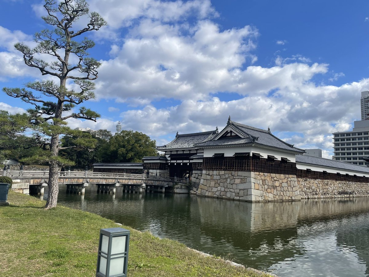 内藤光春＠サプリ％地震うさぎBot管理人(@mitdok) - Twilog (ツイログ)