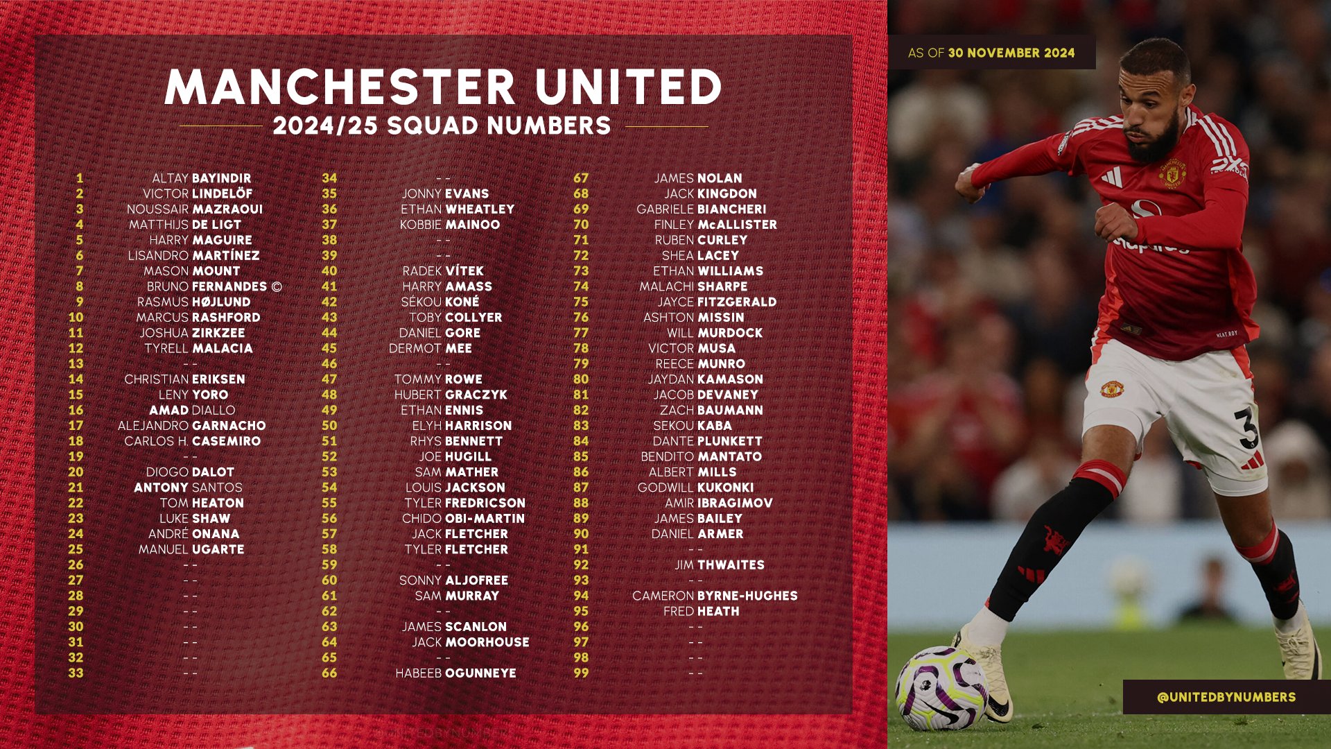 Manchester United Team Jersey Numbers