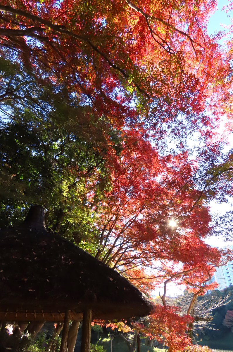 Fragment兎影館｜白座(@Fantas_magorie) - Twilog (ツイログ)