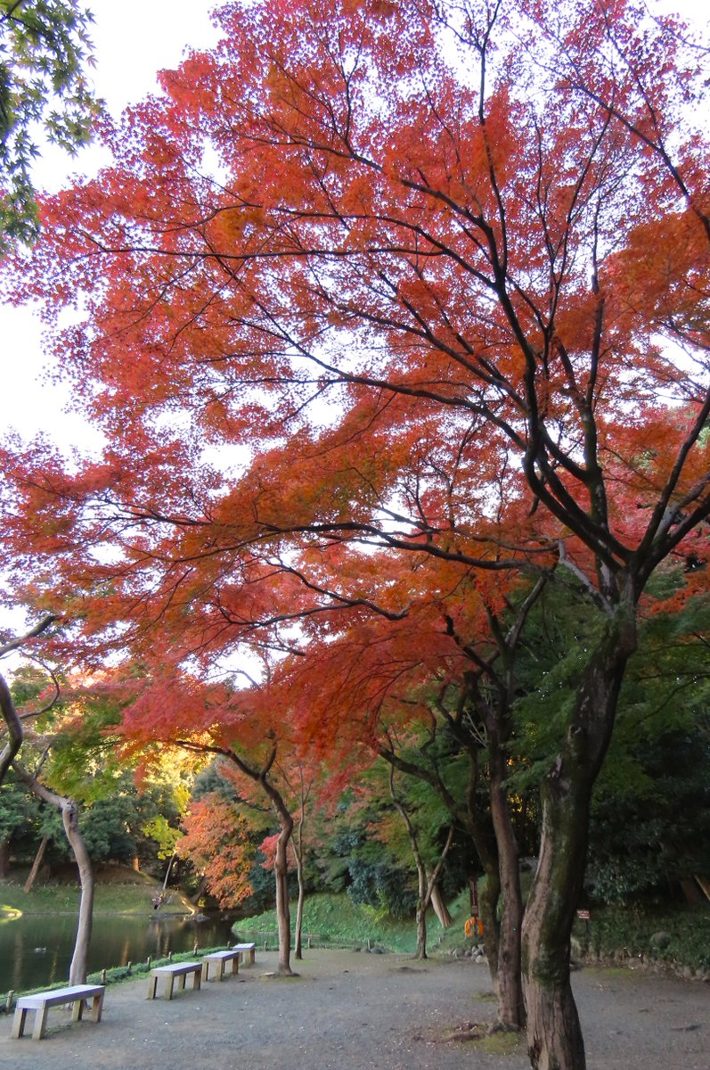 Fragment兎影館｜白座(@Fantas_magorie) - Twilog (ツイログ)