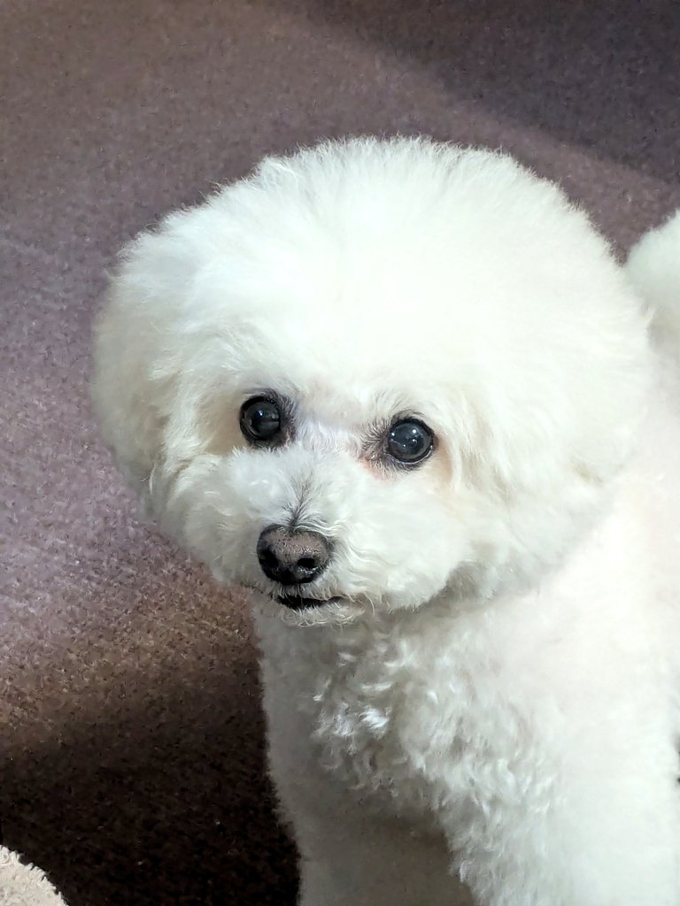 dw16(@daispoworld2016) - Twilog (ツイログ)