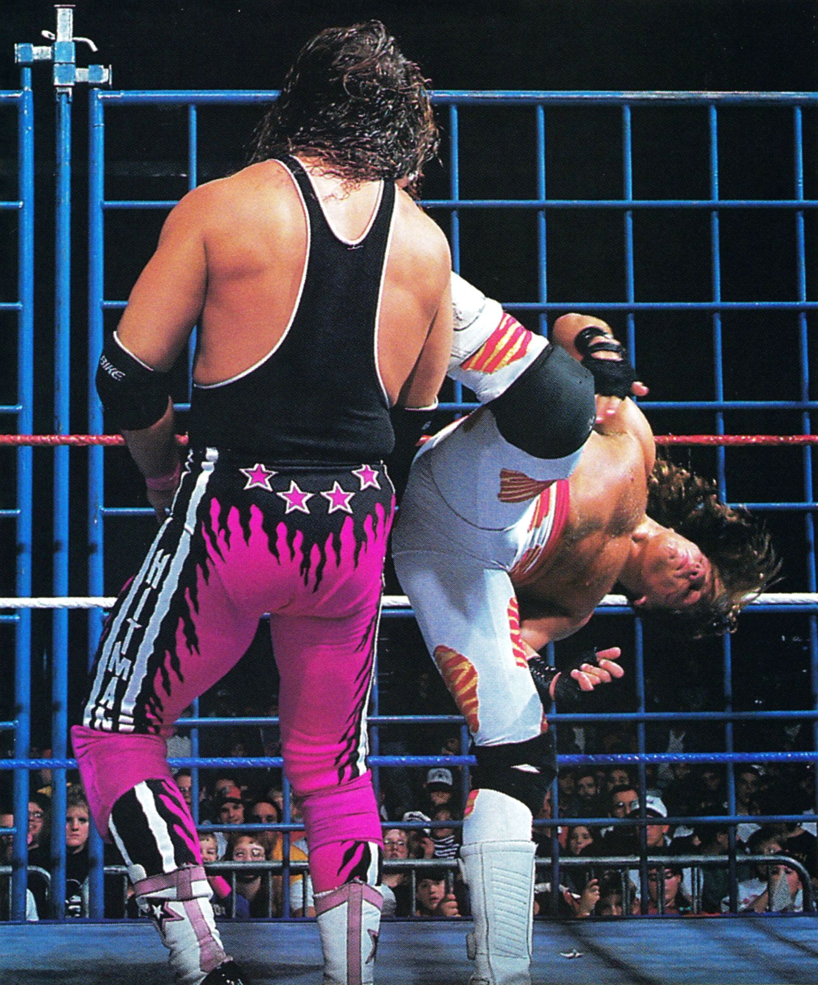 Bret Hart 1993