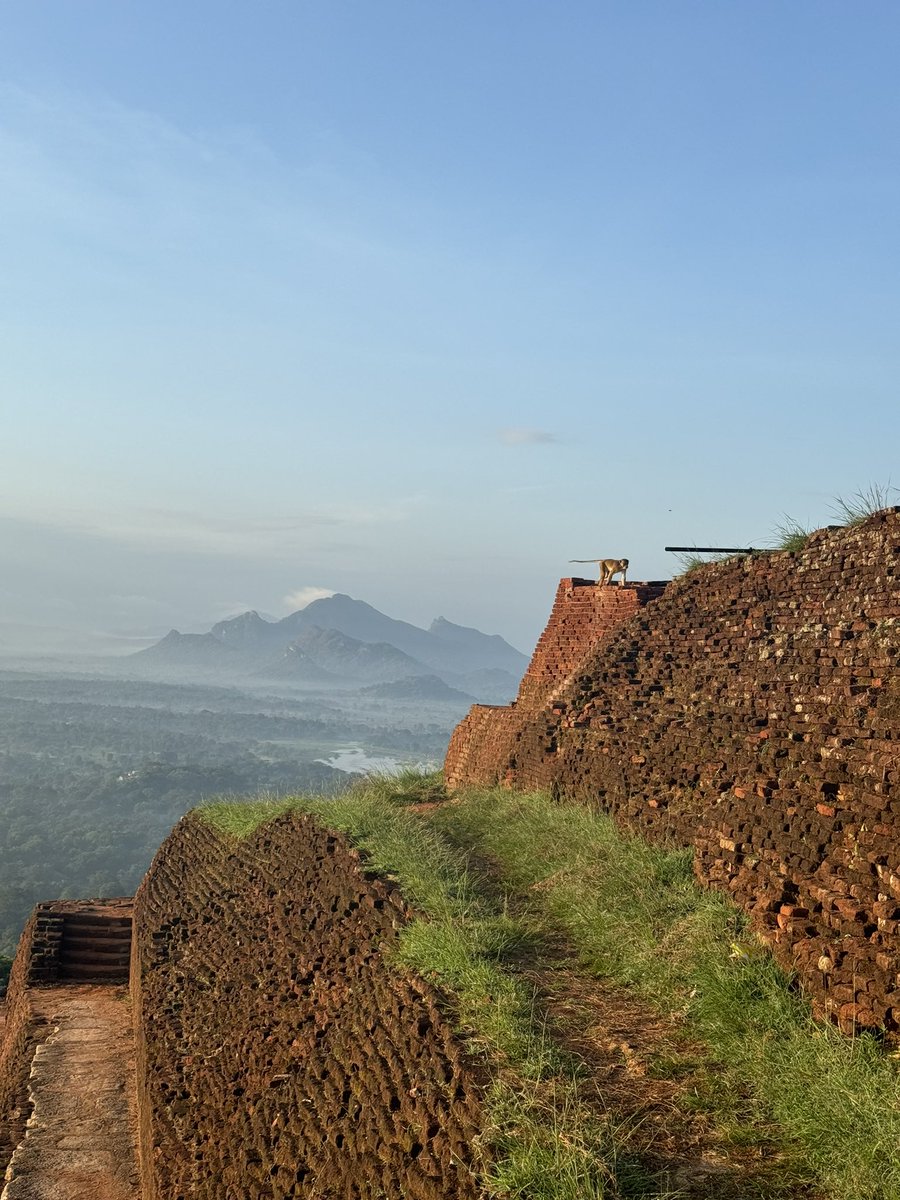Sri Lanka is a good travel destination in budget ️ I visited Sigiriya ...
