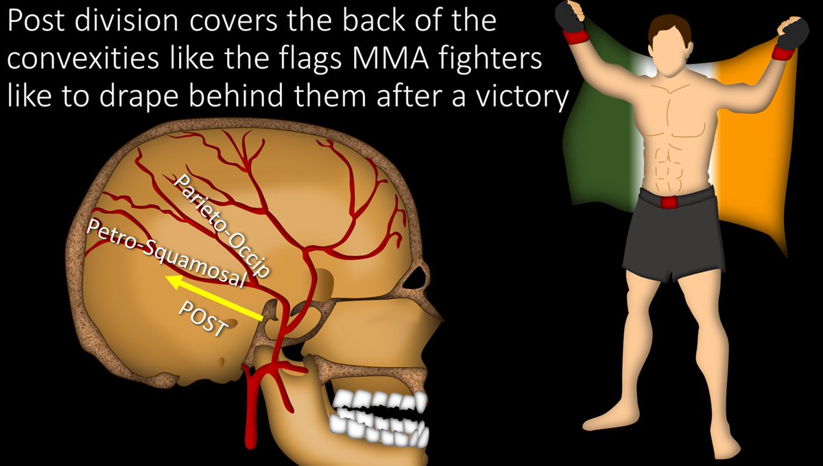 1/Ready for a throw down? MMA fights get a lot of attention, but MMA ...