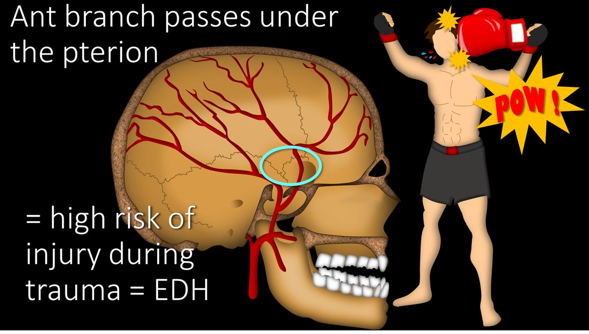 1/Ready for a throw down? MMA fights get a lot of attention, but MMA ...