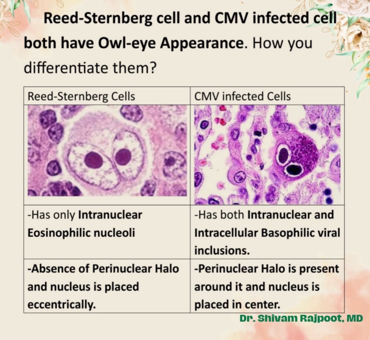 Celulas Reed Sternberg Vs Cmv Comparative Study Of Five Commercial